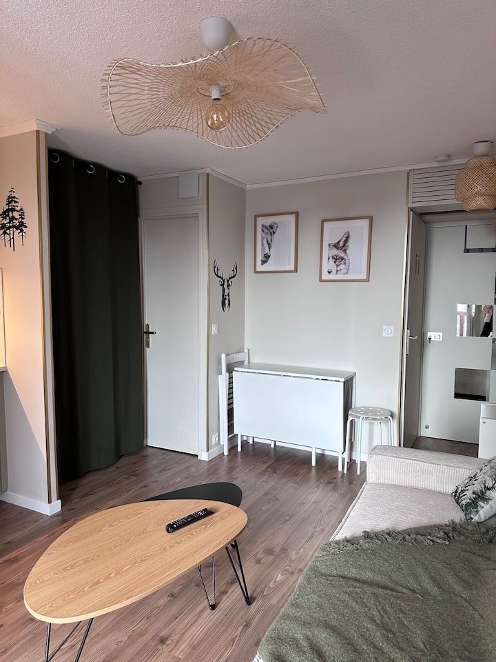 Apartment At The Foot Of The Slopes - Chamrousse