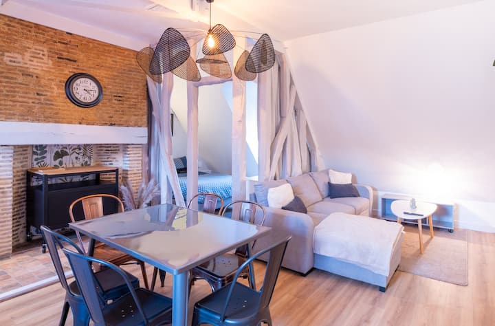 Rennes Historique – Appartement Chaleureux - Rennes