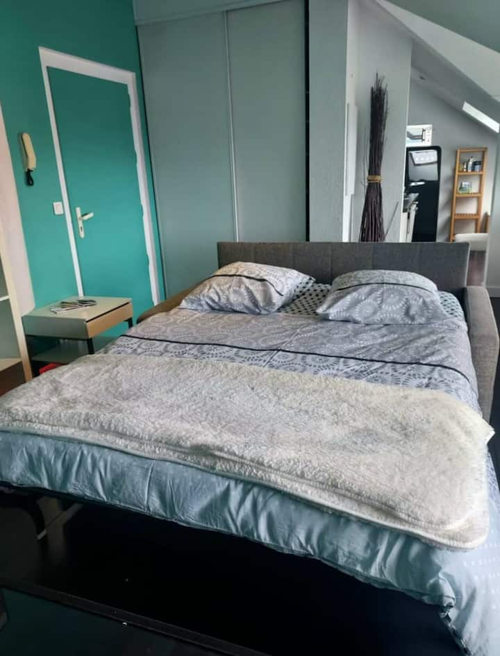 Joli Studio Au Calme Avec Vue Sur Le Lac - Thonon-les-Bains