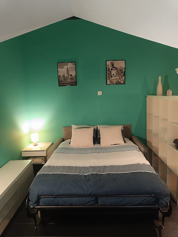 Joli Studio Au Calme Avec Vue Sur Le Lac - Thonon-les-Bains