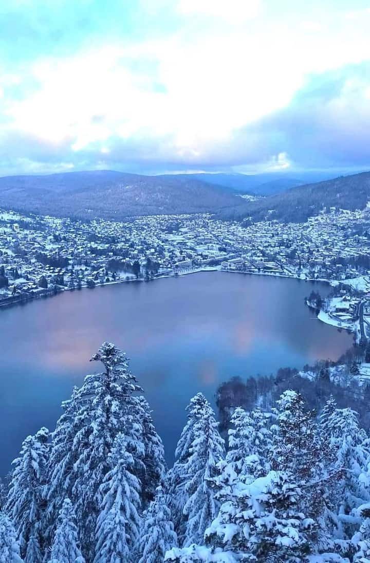 Appartement Chaleureux En Rez-de-chaussée - Xonrupt-Longemer