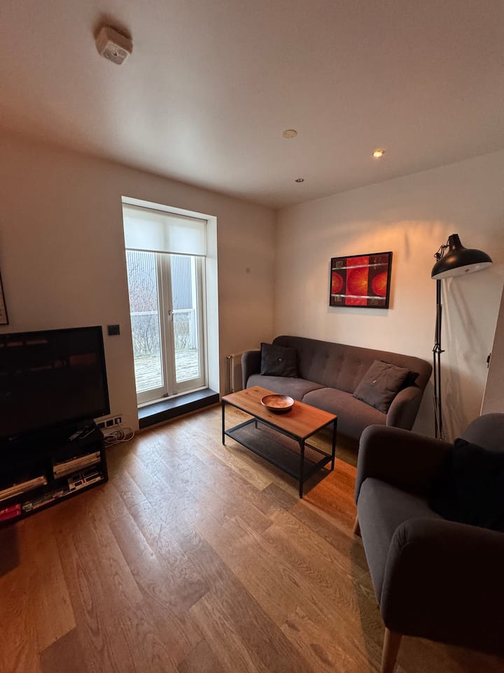 Apartment In The Heart Of Downtown. - Reykjavík