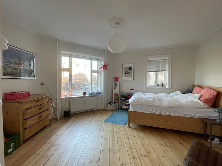 Hyggelig Stor Lejelighed - Kopenhaga