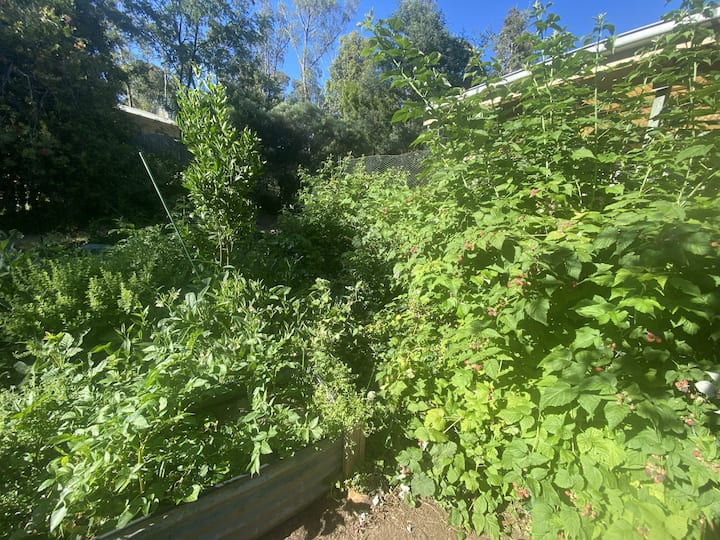 Food Forest Retreat - Eildon