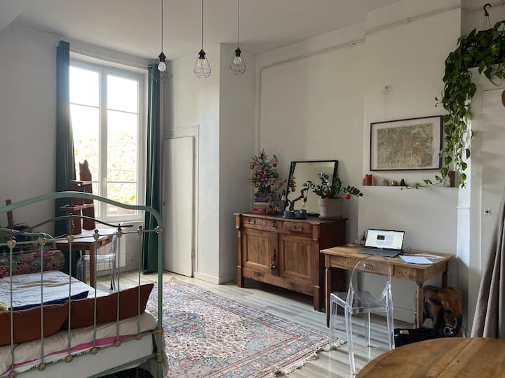 Appartement Chaleureux - Lyon