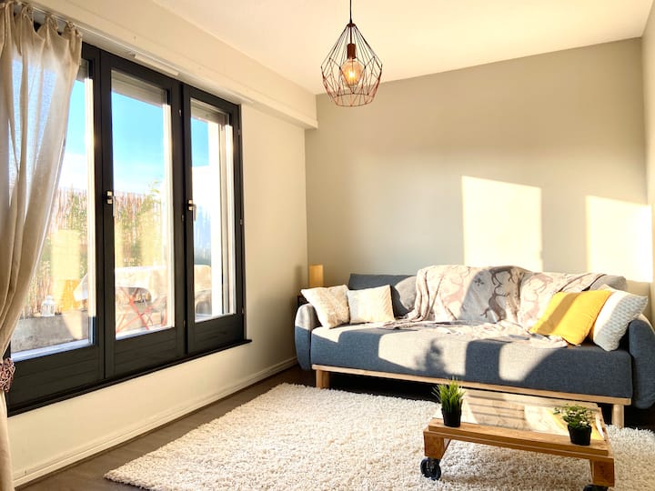 Chez Corinne - App. Lumineux Avec Terrasse - Strasbourg