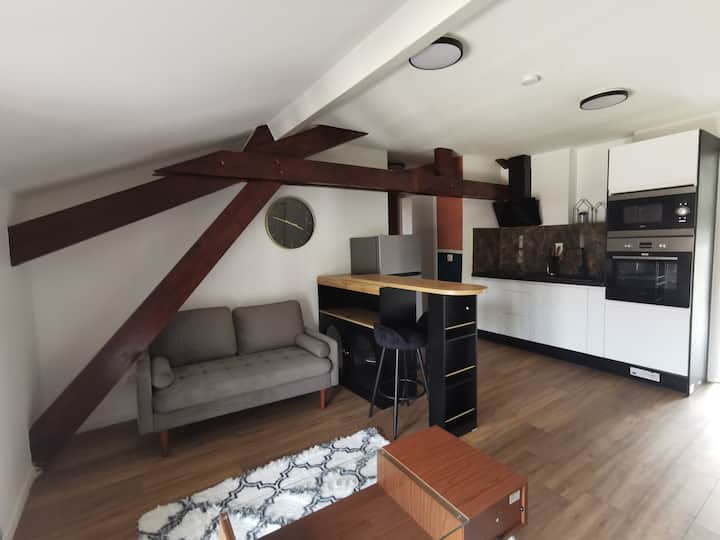 Appartement Cosy 3 Pièces Avec Parking à Oyonnax - Oyonnax