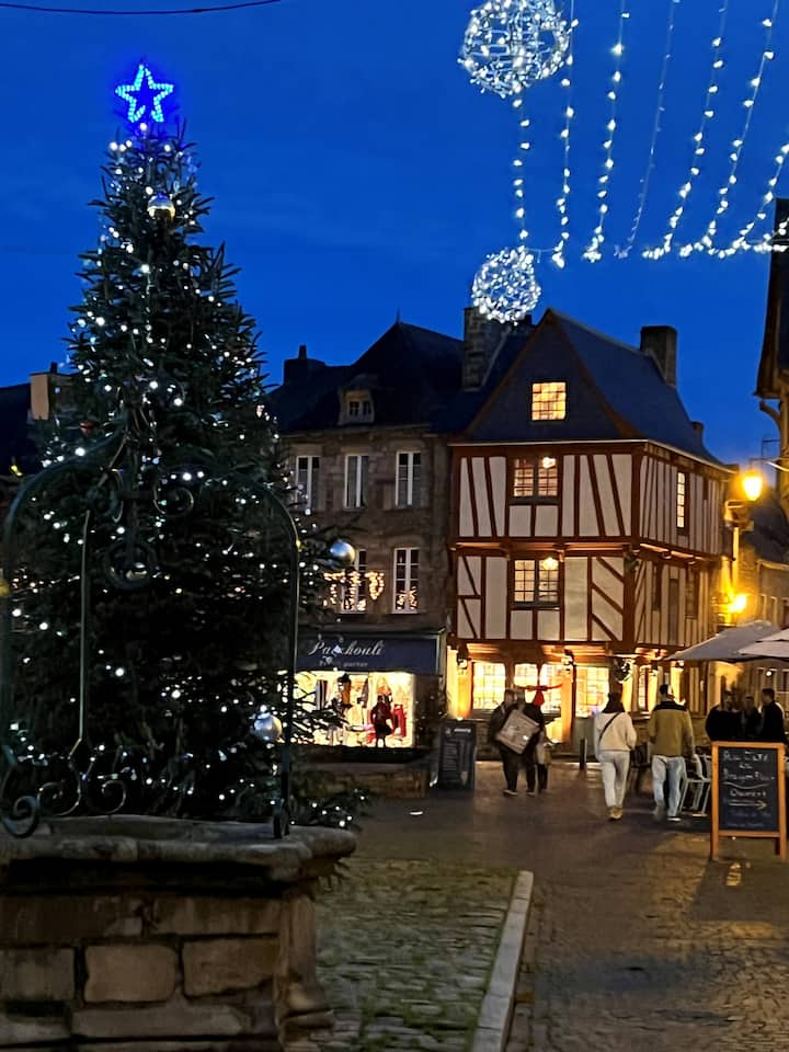 Loue Appartement Du Xvème Siècle à Malestroit - Brocéliande