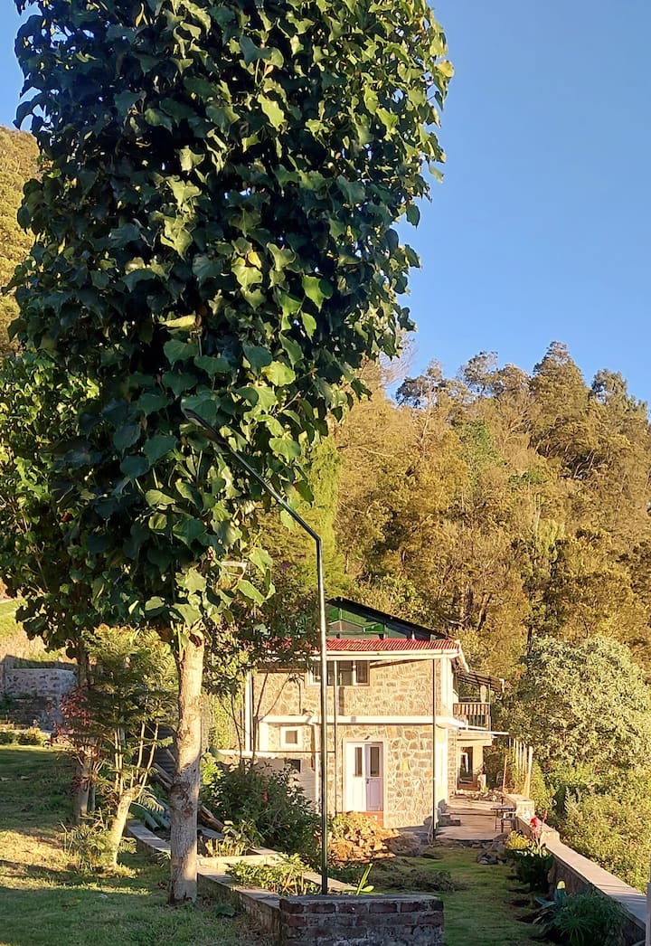 Whispering Dawn - Whispering Palms Kodaikanal - Kodaikanal