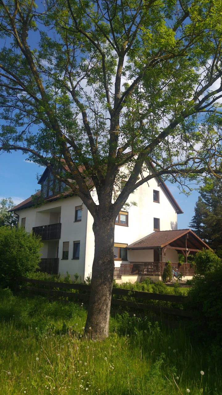 Wohnung Nähe Neustadt An Der Aisch In Diespeck - Neustadt an der Aisch