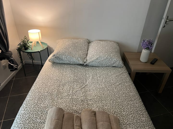 Studio - Musée Beaux-arts - Tours