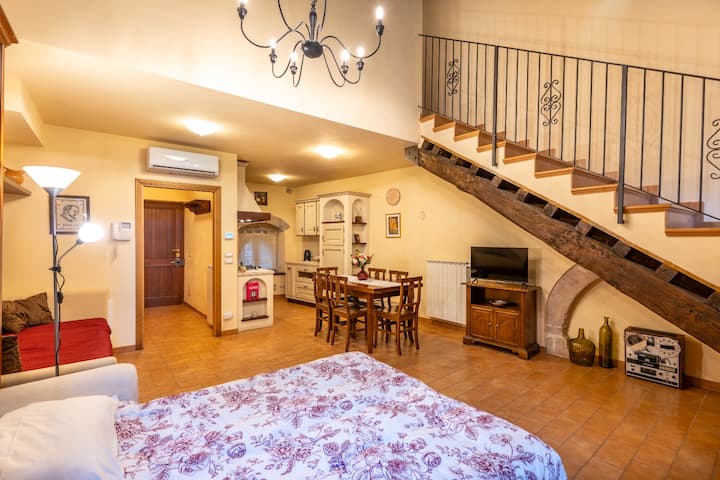 Elsa Holiday Assisi - Assisi