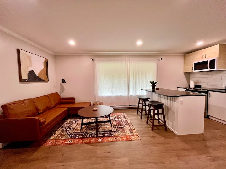 Chic & Stylish 2br Apt In Centre Of City - Sault Ste. Marie