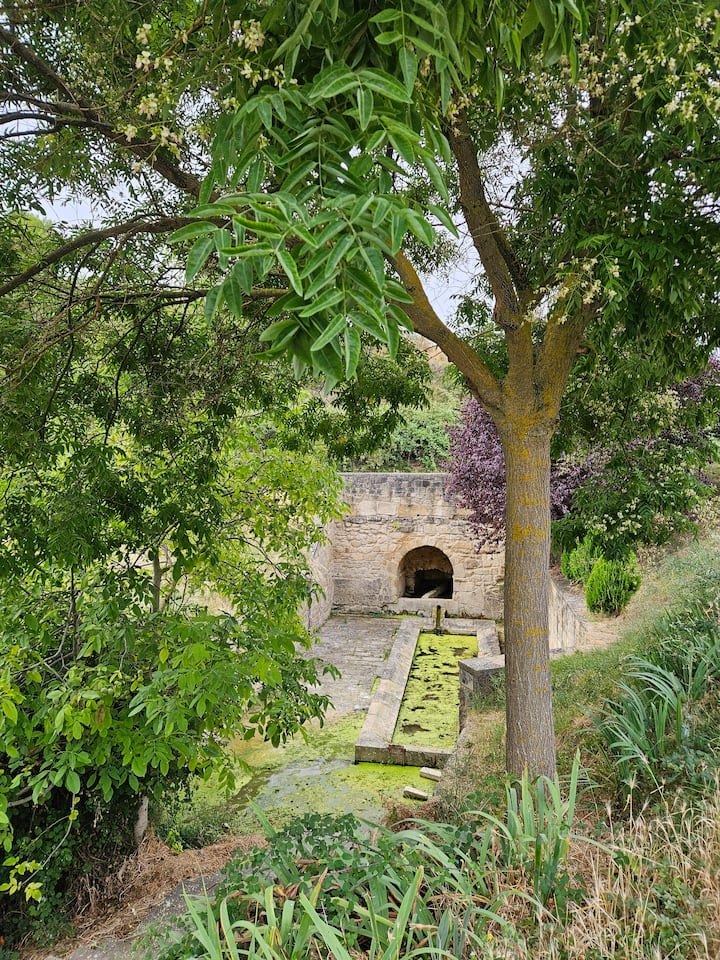 Casa De La Gallega - Los Arcos