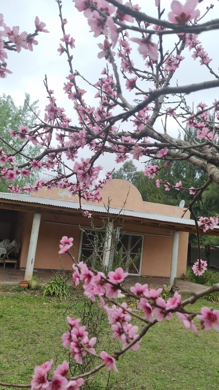 Quinta Alquimia En San Vicente. Hospedaje Para 8p - San Vicente