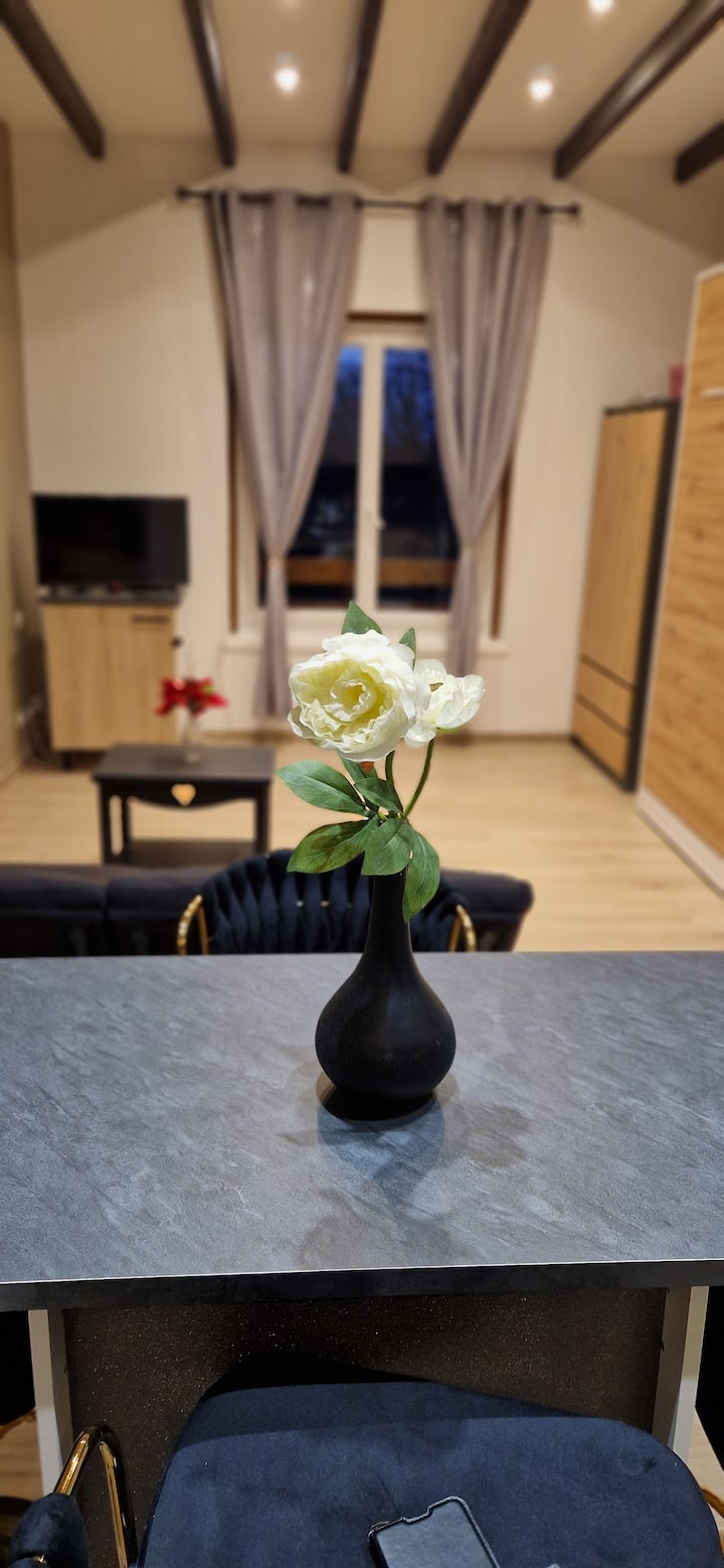 Studio Chic & Design 3 Personnes - Évian-les-Bains