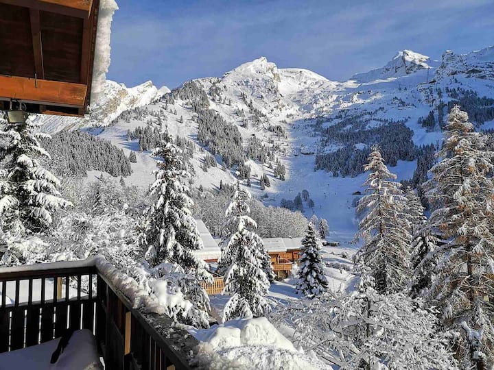 Cocon Alpin - Vue Imprenable, à 200 M Des Pistes ! - La Clusaz