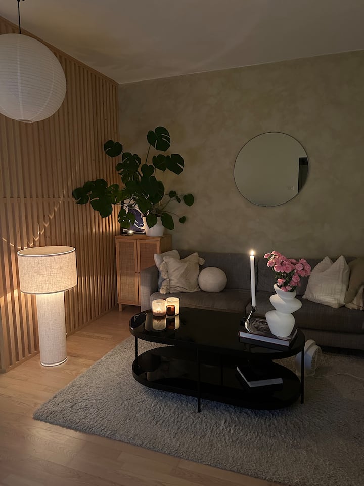 Koselig Og Sentral Ettromsleilighet På Majorstuen - Oslo