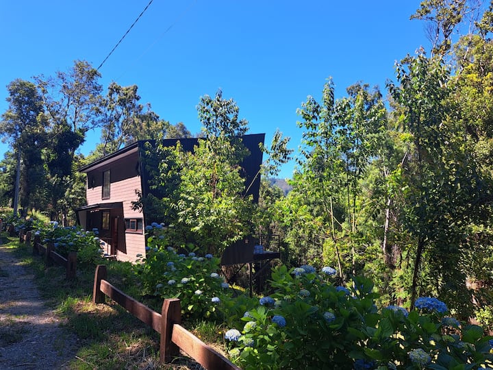 Casa Familiar De Diseño, En Bosque Nativo - Valdivia