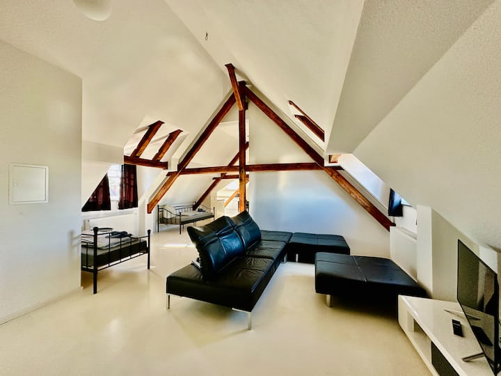Apartmenthouse Singen/2-zim. Loft/1-5 Pers. - Singen