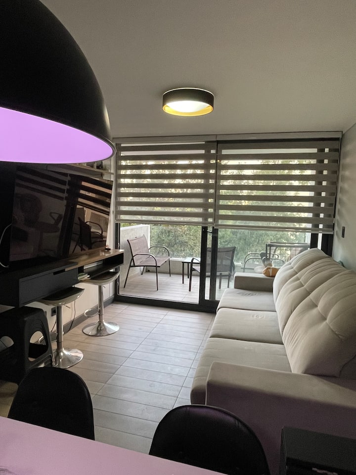 Modern Luxury Apartment With Pool & Andes View - Santiago
