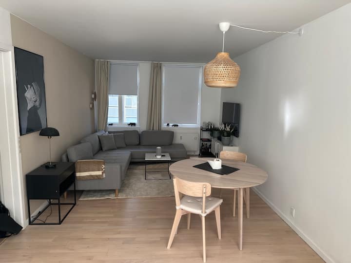 Cozy Apartment In The Heart Of Copenhagen - Copenhaguen
