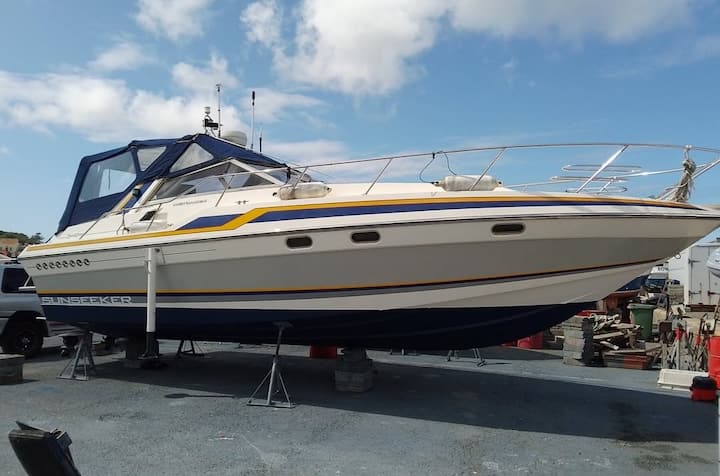 "Sunseeker Zero 6" - (Sunseeker San Remo 33) - Jersey