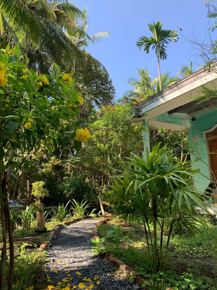 Bến Tre Homestay – Ngôi Nhà Giữa Rừng Dừa Xanh Mát - Ben Tre