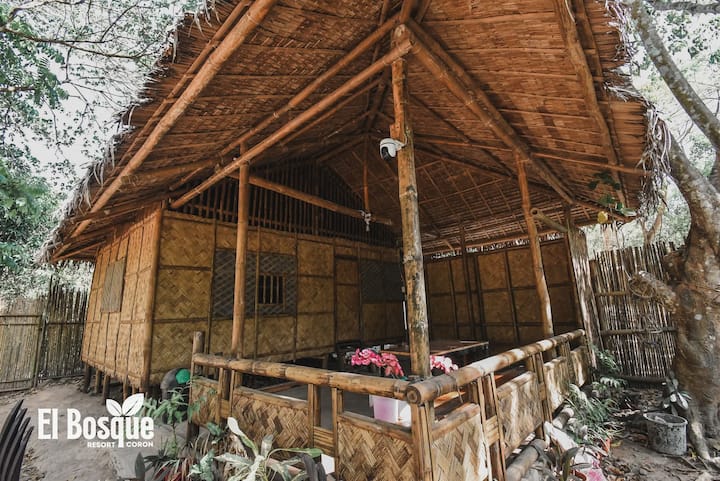 Forest Den -Mixed Dorm Beds - Coron