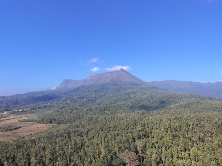 Guest House In Chikkmagalore-with Mountain View - Chikmagalur