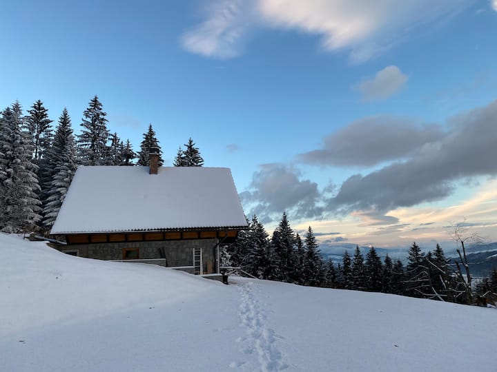 Private Forest Cabin With Epic View - Slovenia
