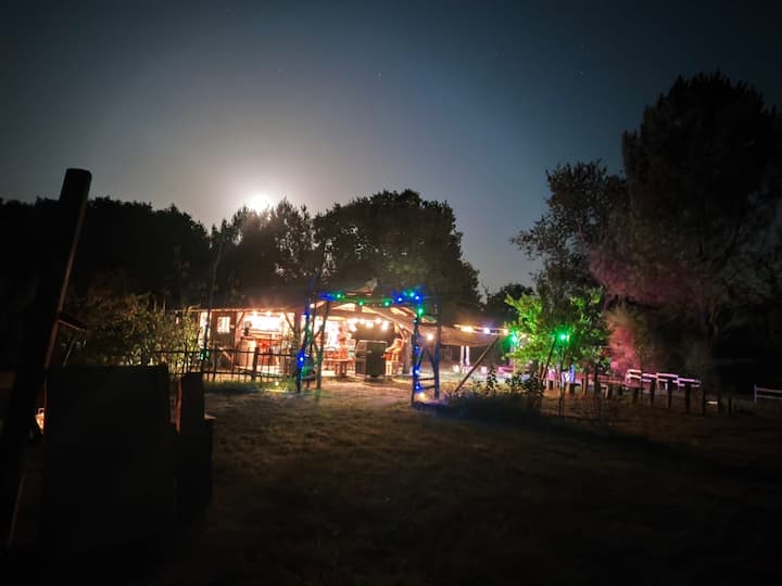 Domaine En Forêt Comprenant Plusieurs Dépendances - Morcenx