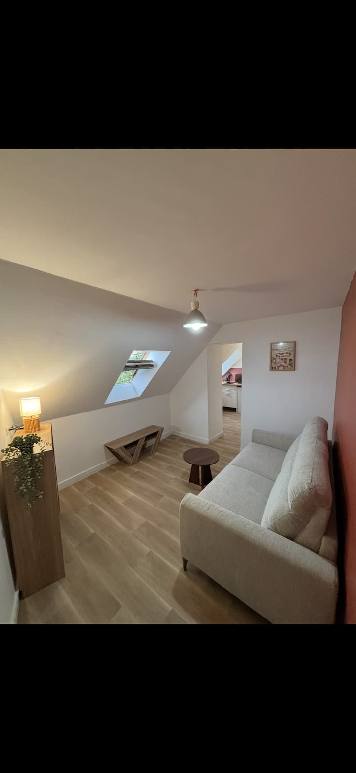 Charmant Studio Au Pied Du Tram - Le Mans