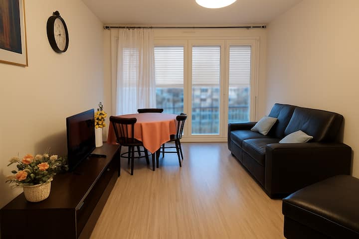 Chambre à Louer, Confortable Et Lumineuse - Ferney-Voltaire