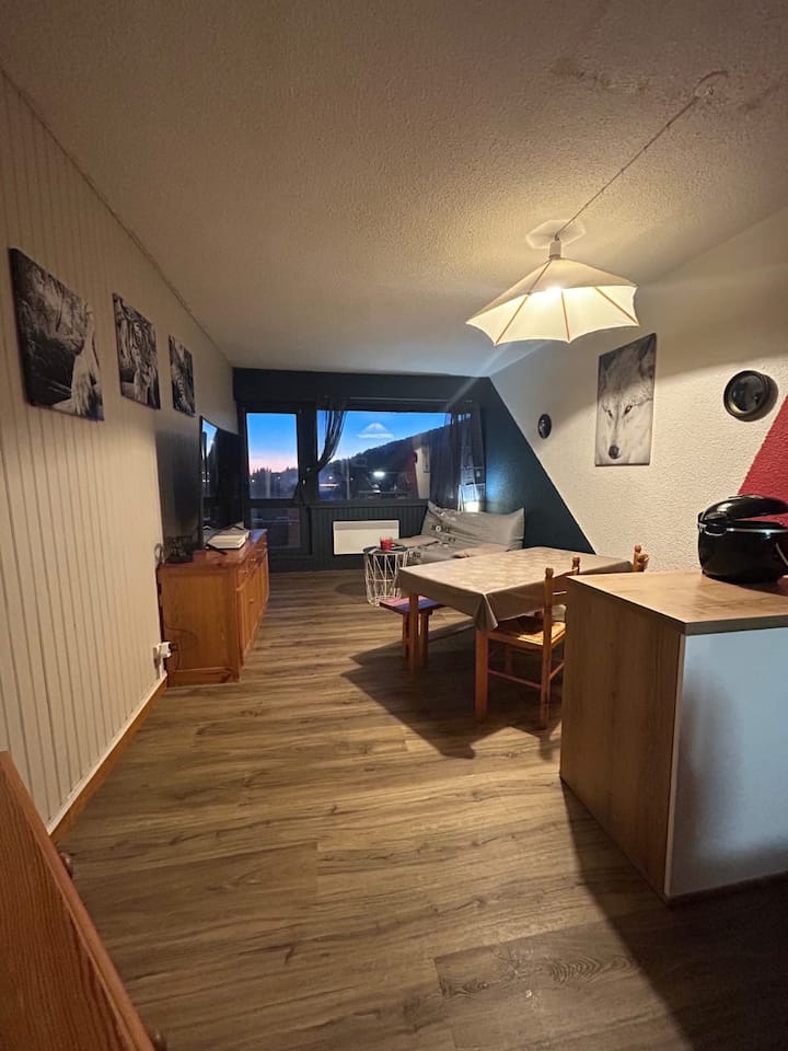 Studio Au Pied Des Pistes - Besse-et-Saint-Anastaise