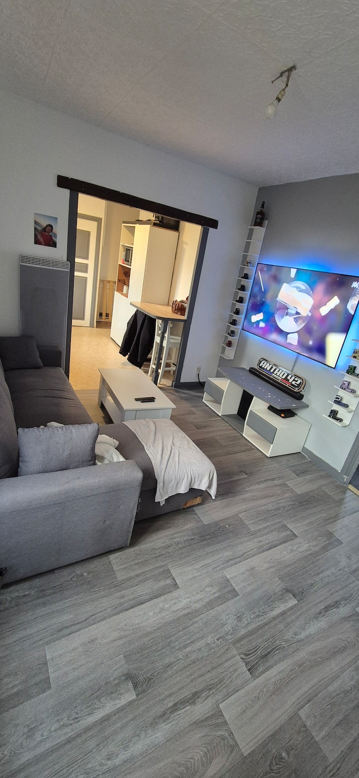 Appartement Avec Entrée Privative De L’extérieur - Roanne