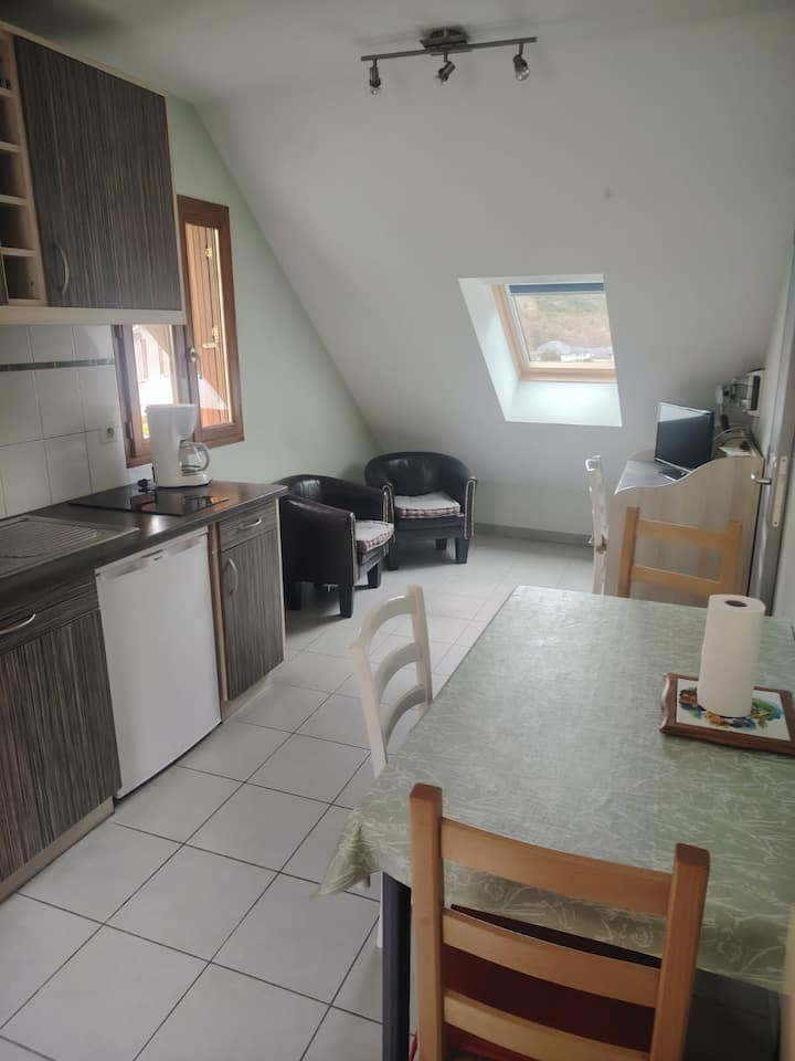 Appartement Au Cœur De Chaudes Aigues - Chaudes-Aigues
