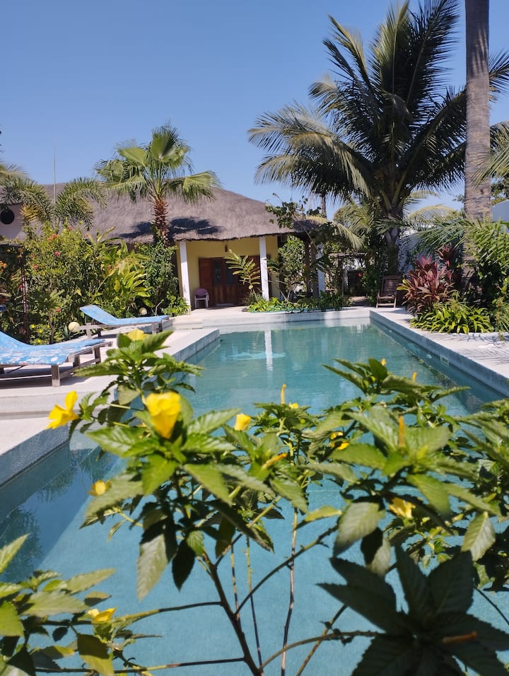 Pêcheur De Lune - Senegal