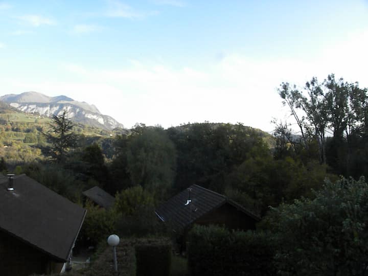 Appartement Au Pied Des Pistes De Ski - Bellevaux