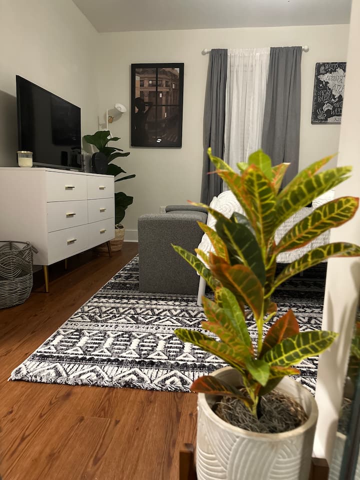 Newly Renovated 2br/2ba Minutes From Ecu Health. - Greenville, NC