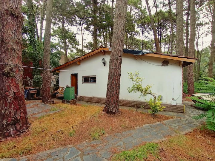 Cabaña Para 2 Personas En El Bosque - Pinamar