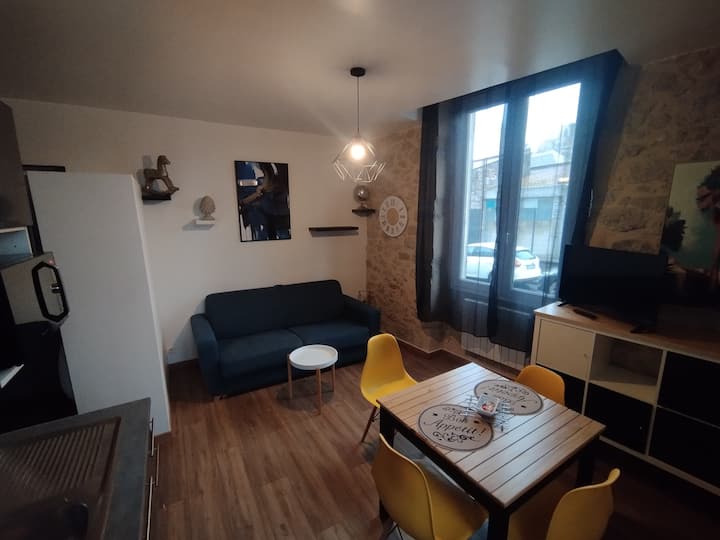 Studio En Basse Ville Avec Chambre Et Canapé Lit - Auch