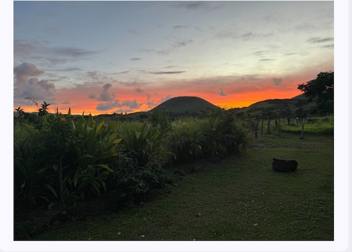 Cabañas Refugio Arqueologico - Easter Island