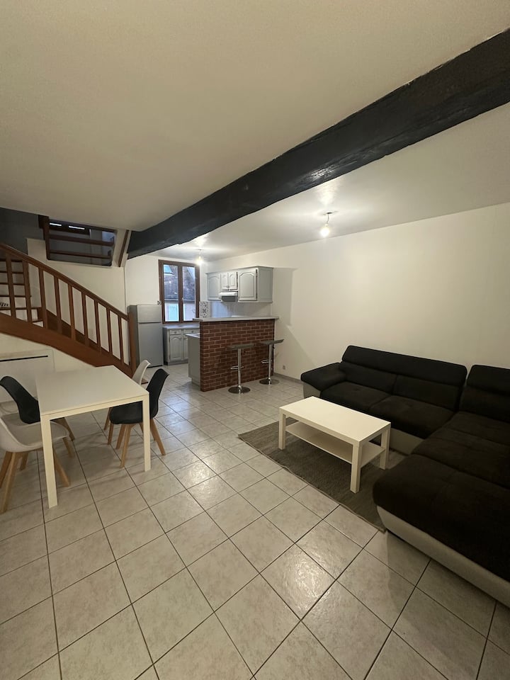 Appartement En Centre-ville D’auxerre - Auxerre