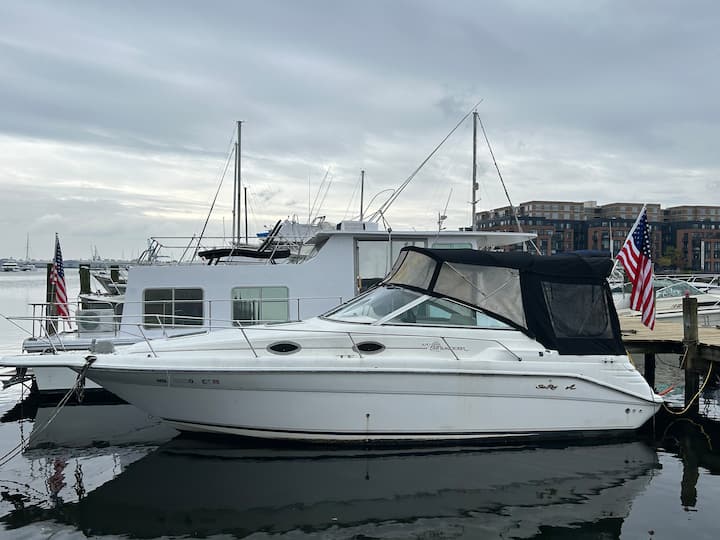 27f Sundancer On The Water - Baltimore, MD