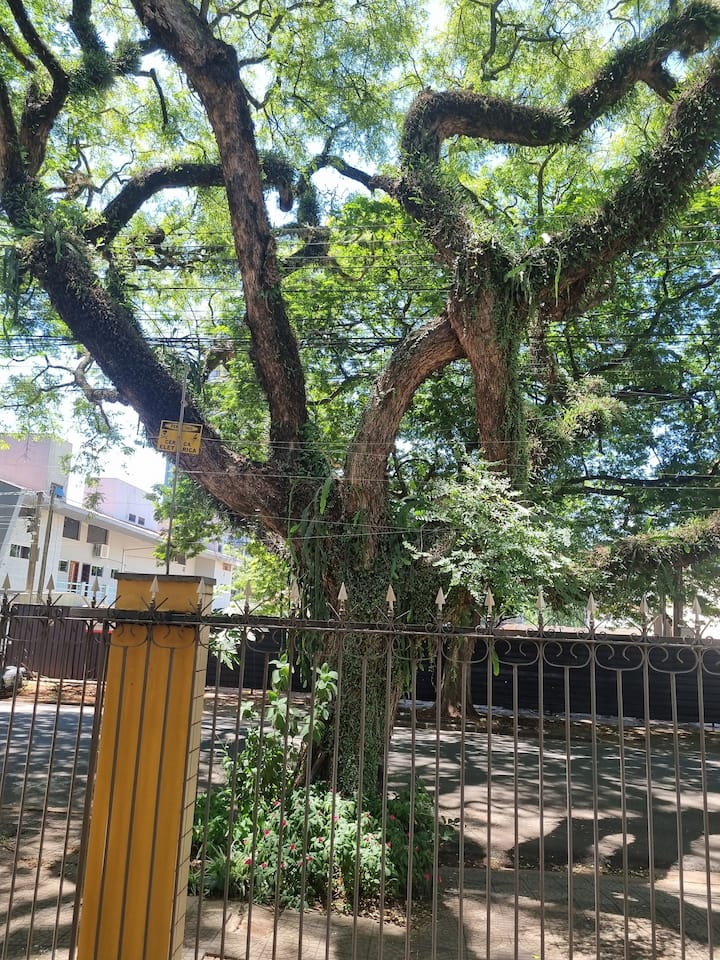 Lindo Sobrado Na Zona 7 Próximo De Tudo. - Maringá