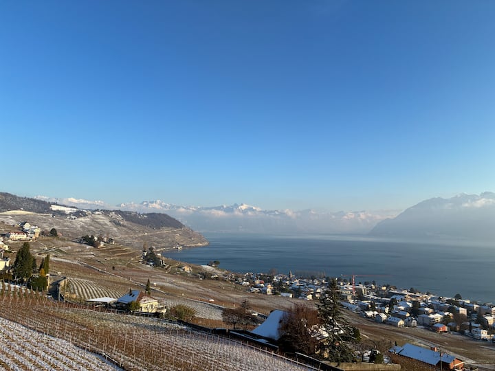 Superbe Appartement Dans Les Vignes Du Lavaux - Losanna