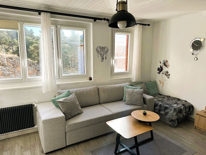 Studio Confortable Et Moderne Proche Station Ski - Le Mas