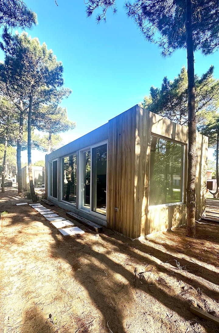 In The Wood
A Estrenar - Pinamar