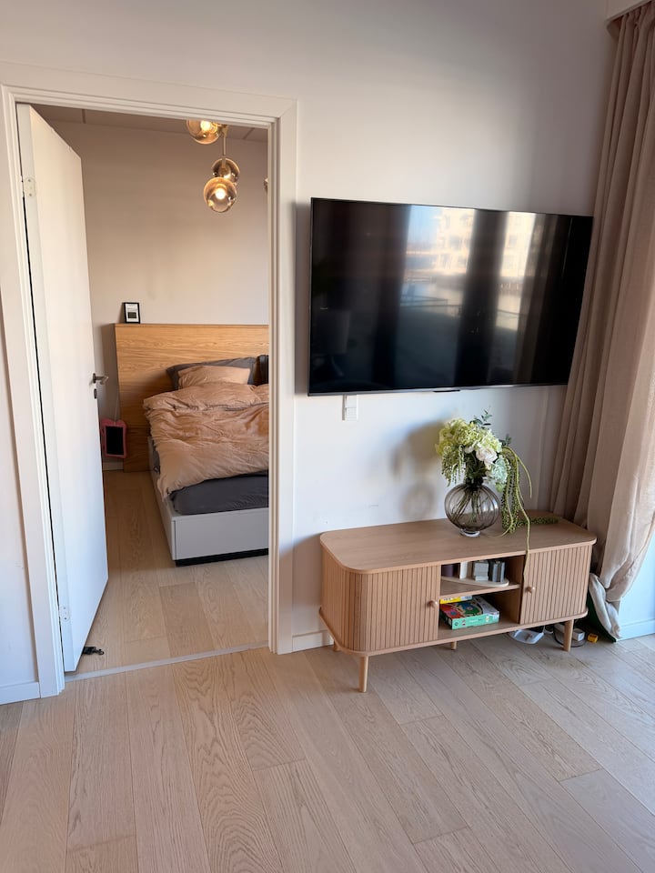 Luksus Familie Bolig I Første Række Til Vandet - Copenhague